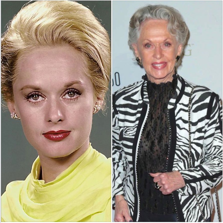 TBI Survivor: Tippi’s Traumas – TBI on the Screen